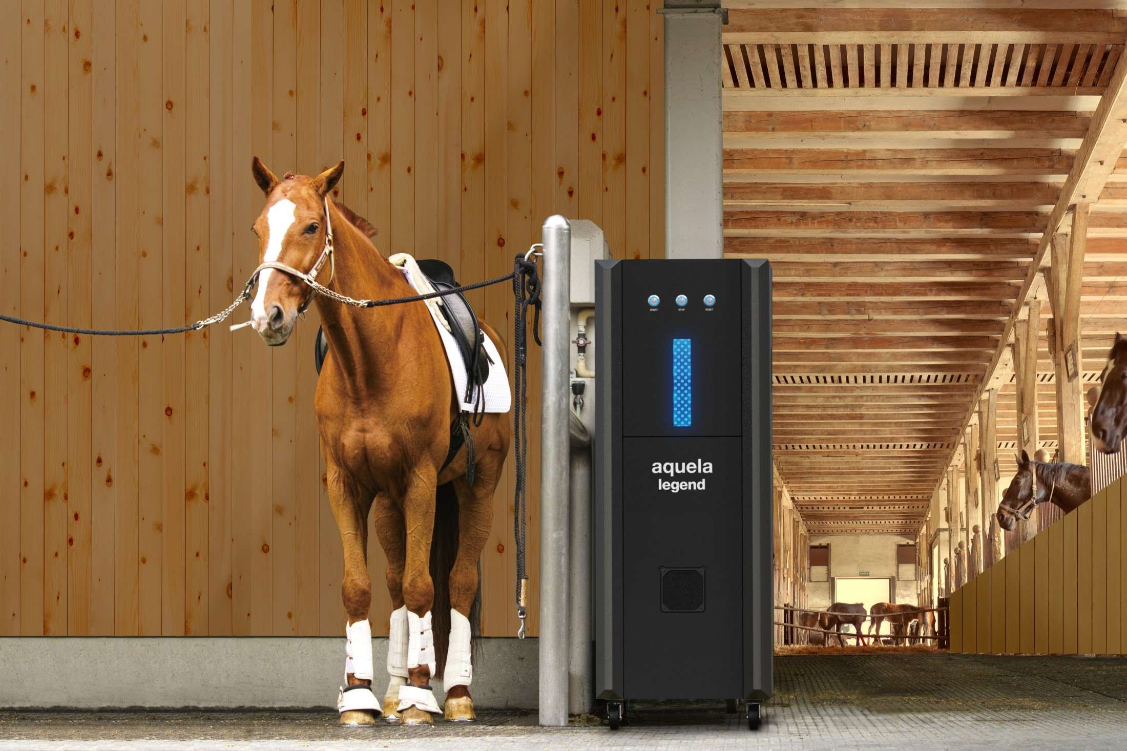 Aquela Legend: Hydrogen Water Unit for Clinics & Equine Facilities ...